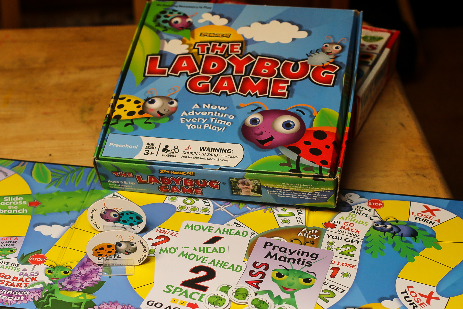 20200421121628_IMG_2039.jpg – The Beauty of Play